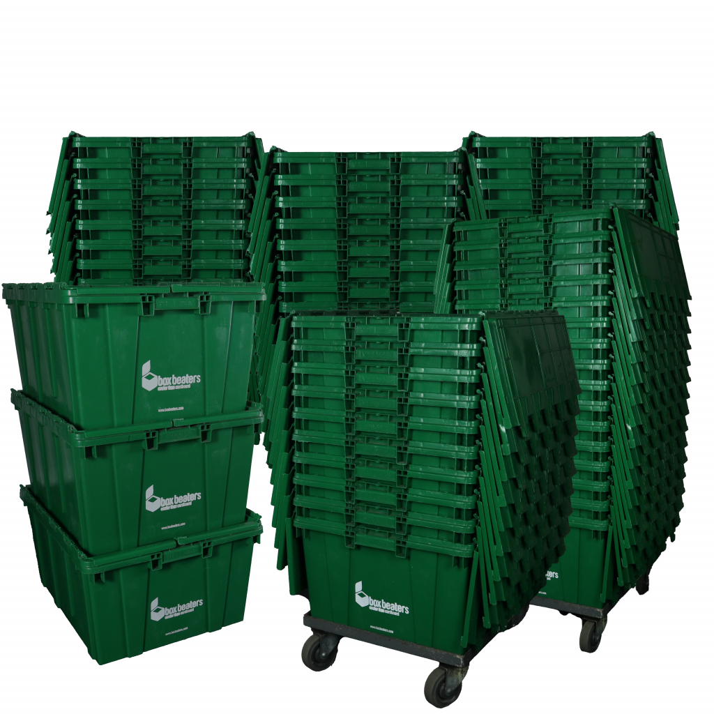 Extra Large Business - Box Beaters