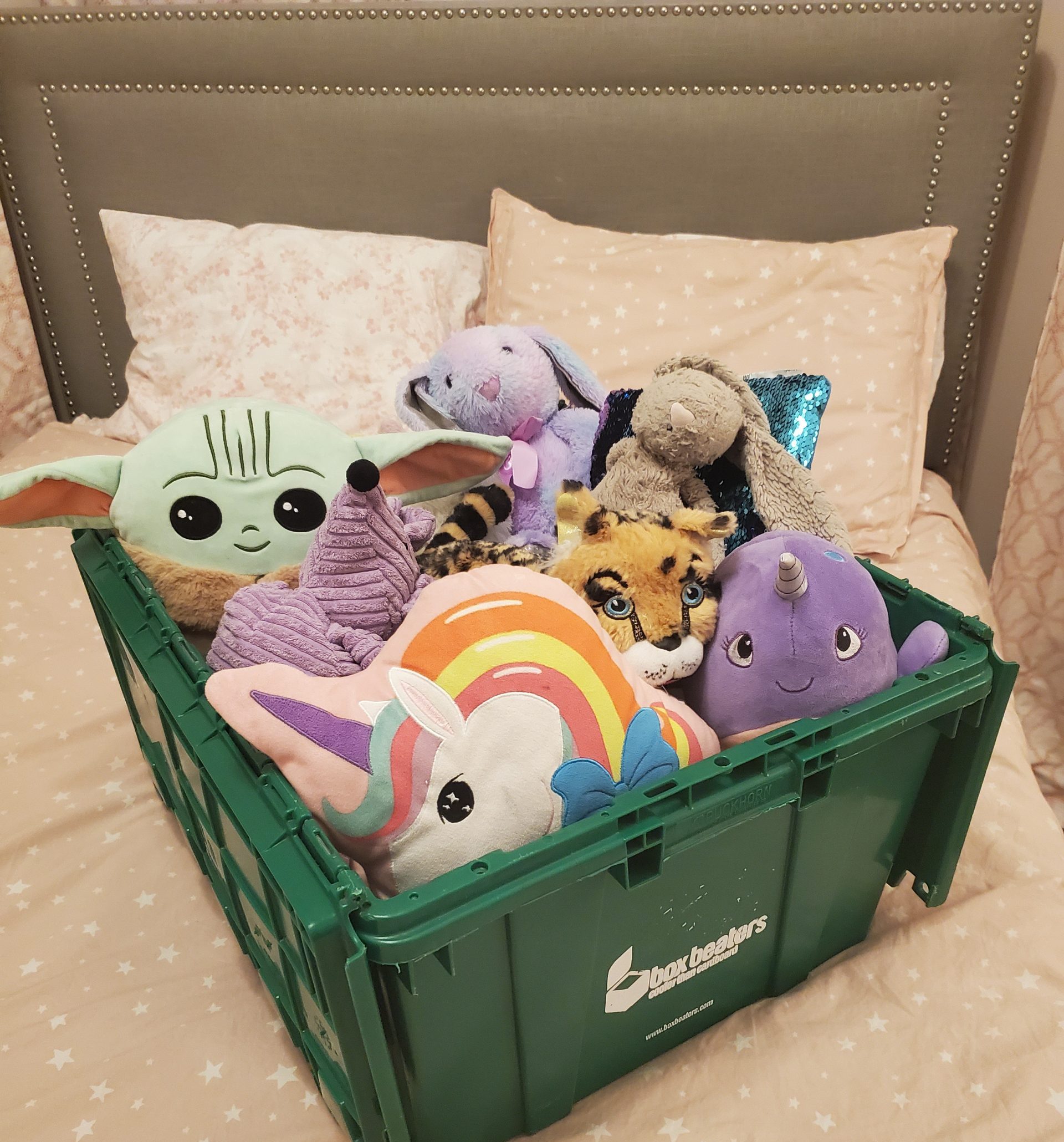 The Best Way to Pack Plastic Moving Bins - Box Beaters