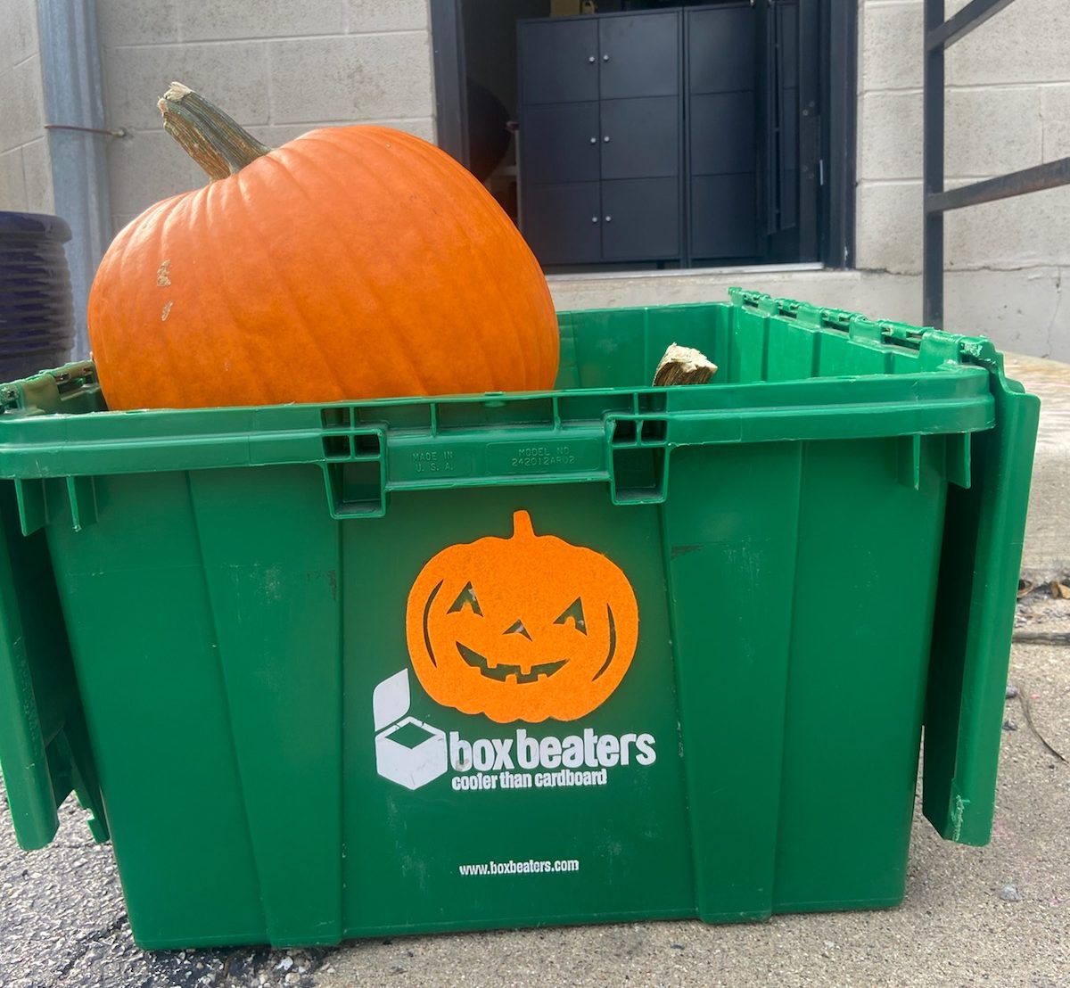 How to Use Plastic Moving Boxes for Your Fall Move - Box Beaters